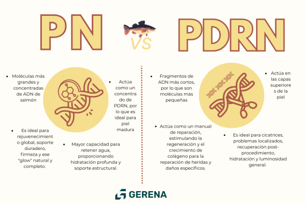 PN vs PDRN de salmón: diferencias principales - Grupo Gerena